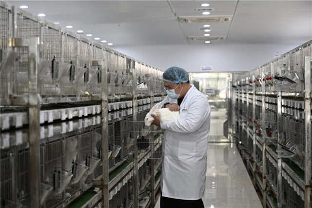 青春上海·24小时青年报：培育实验“金兔”，这名00后从田埂登上国赛舞台夺金